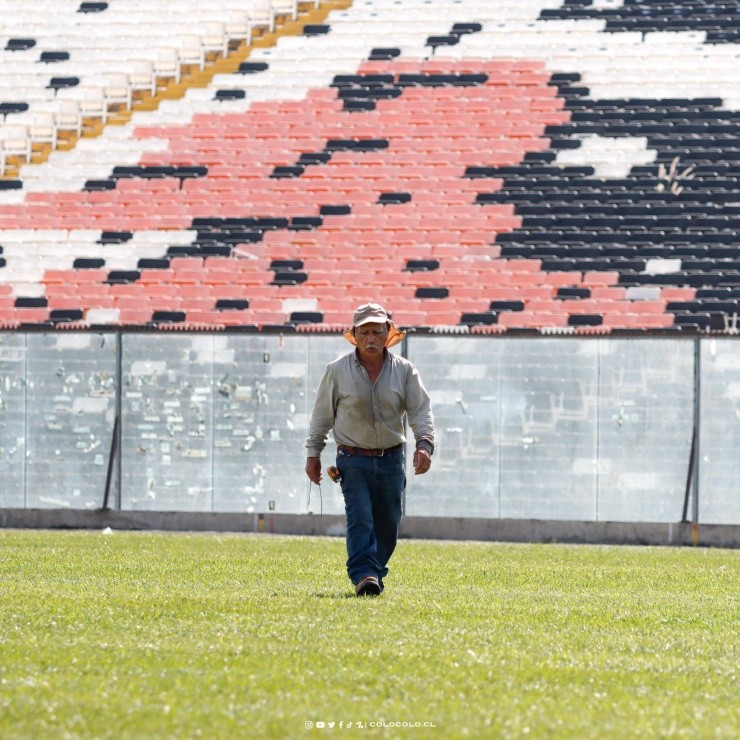 Estadio Monumental entra en su recta final de la resiembra para debut ...